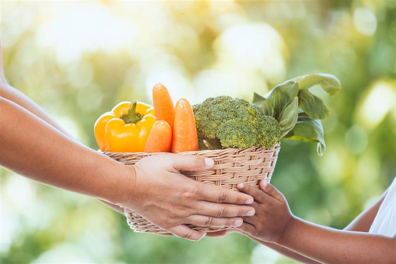 Contact Us | Dohmen Company Foundation